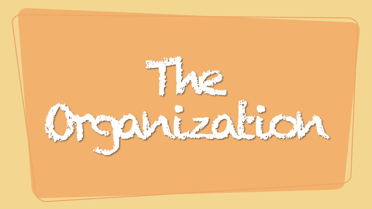 Anatomy psa project - YouTube