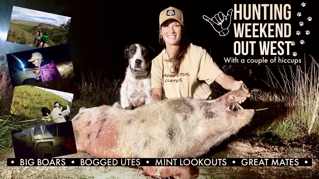 PIG HUNTING WEEKEND OUT WEST NSW | BOGGED UTES | MINT LOOKOUTS | LETS ...