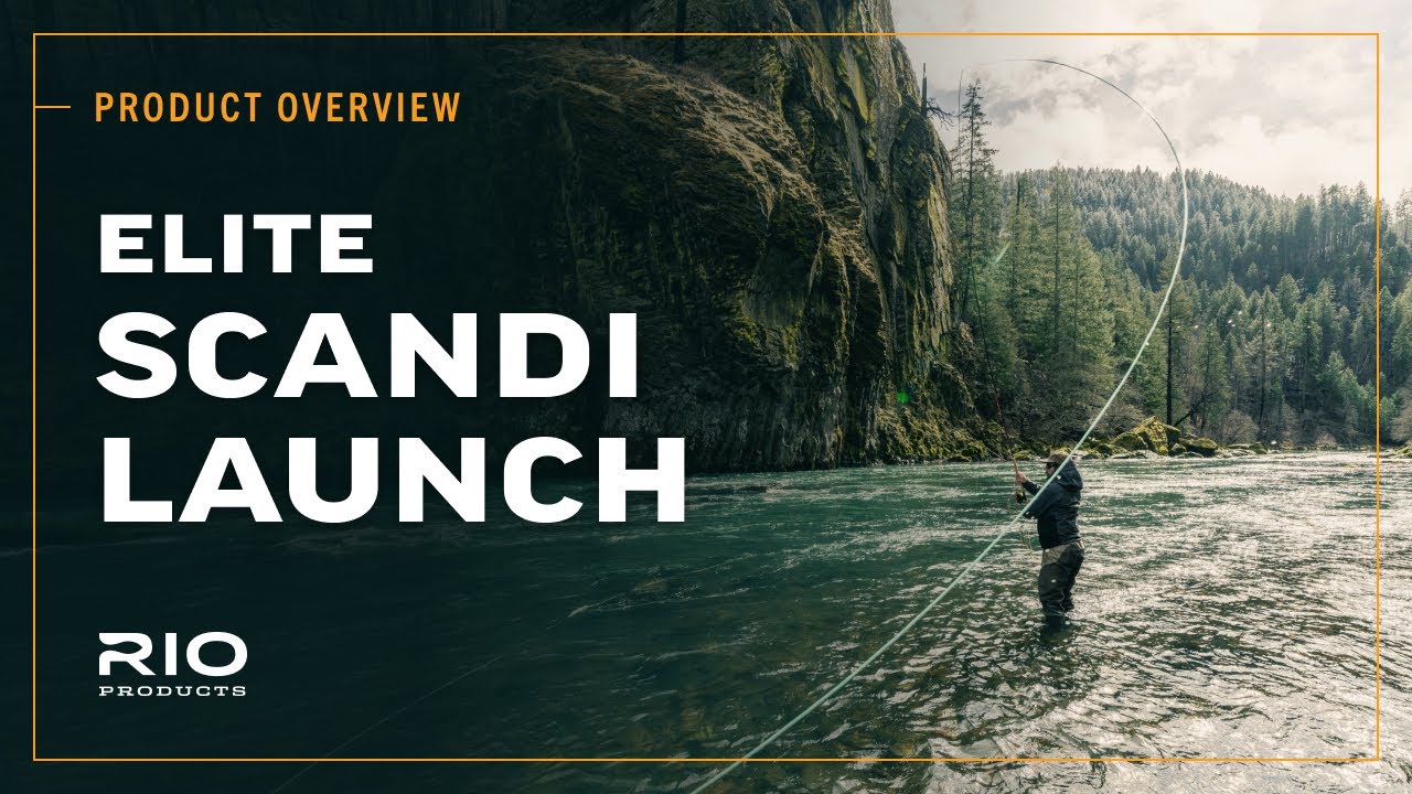 New | RIO Scandi Launch - YouTube