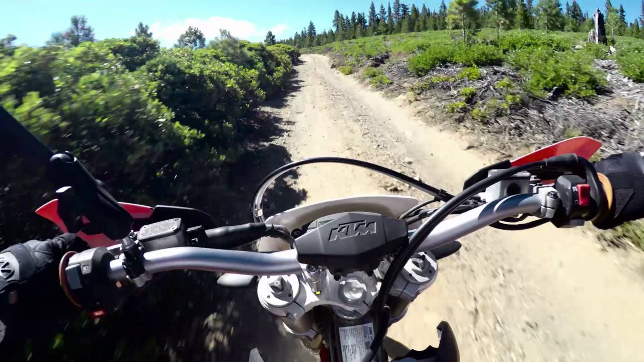 EVO SS Wearable GoPro Stabilizer for GoPro Hero5 Black, Hero5 Session ...