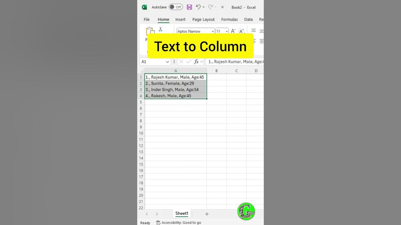 Text to Column in Excel - YouTube