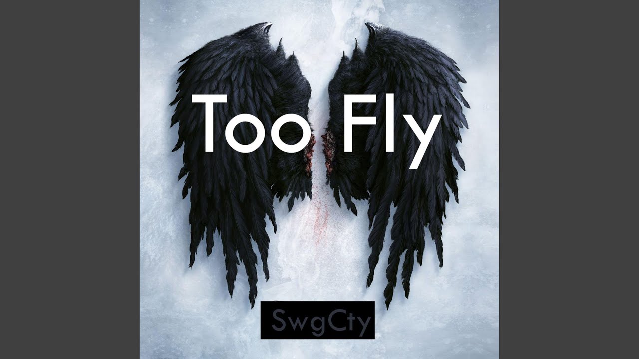Too Fly - YouTube