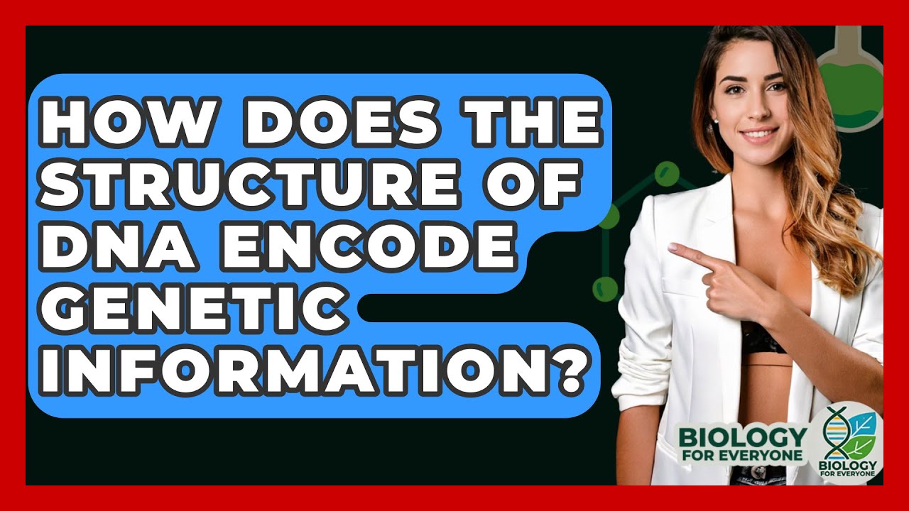 How Does The Structure Of DNA Encode Genetic Information? - Biology For ...