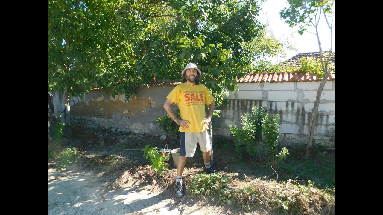 Planting a Tree Quest Part 4 - YouTube