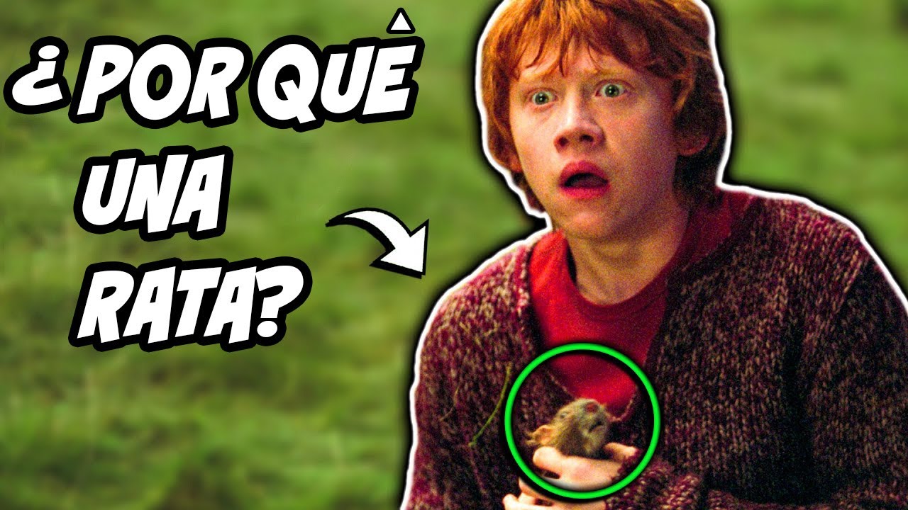 ¿Por Qué Ron Pudo Llevar una Rata de Mascota? – Teoría de Harry Potter ...