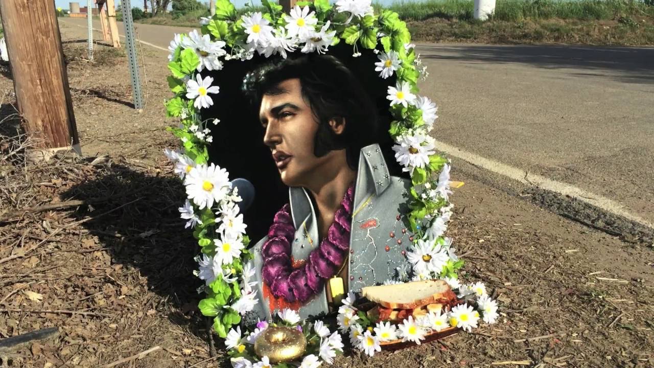 Joe Rut - Black Velvet Elvis - YouTube