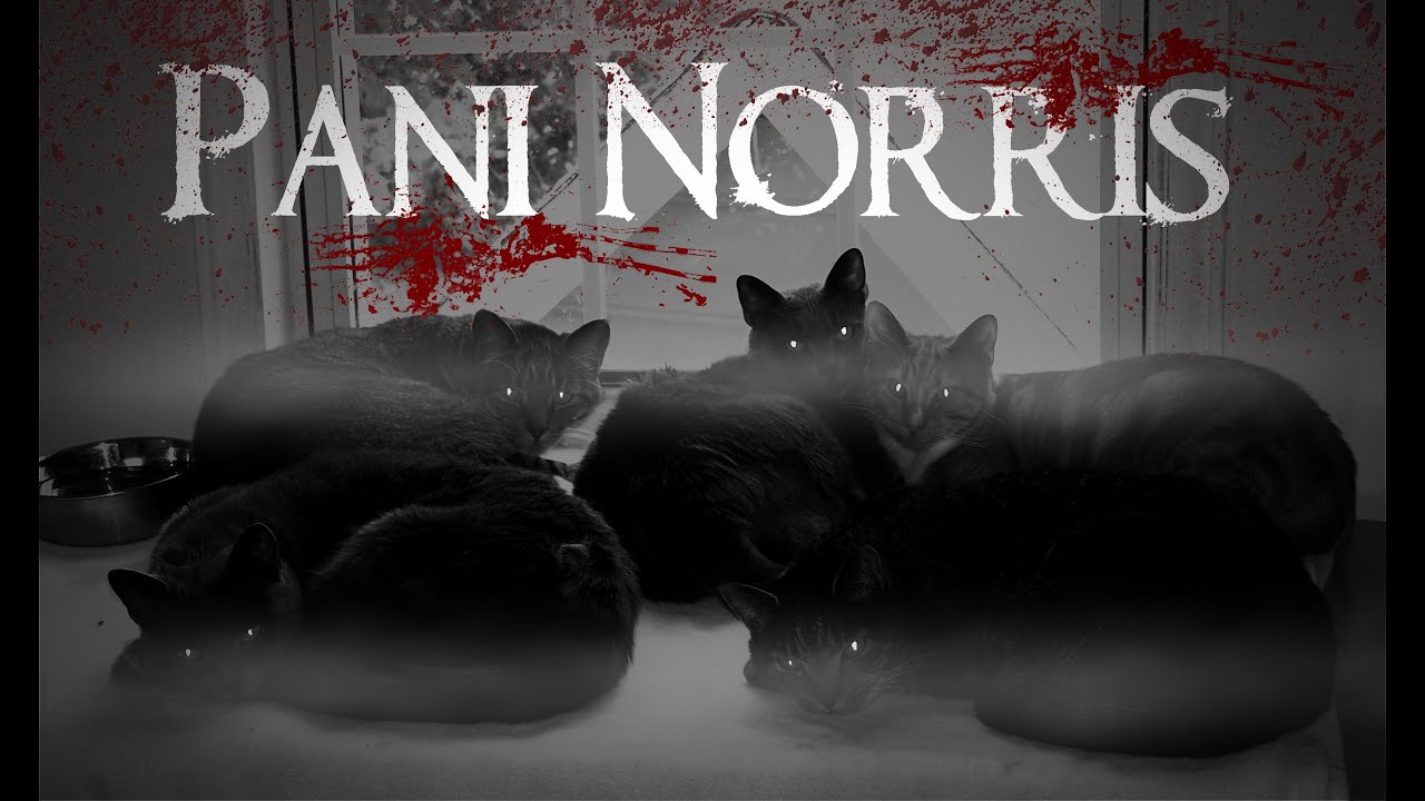 Pani Norris - CreepyPasta Lektor PL (Pasta MysteryTV) - YouTube