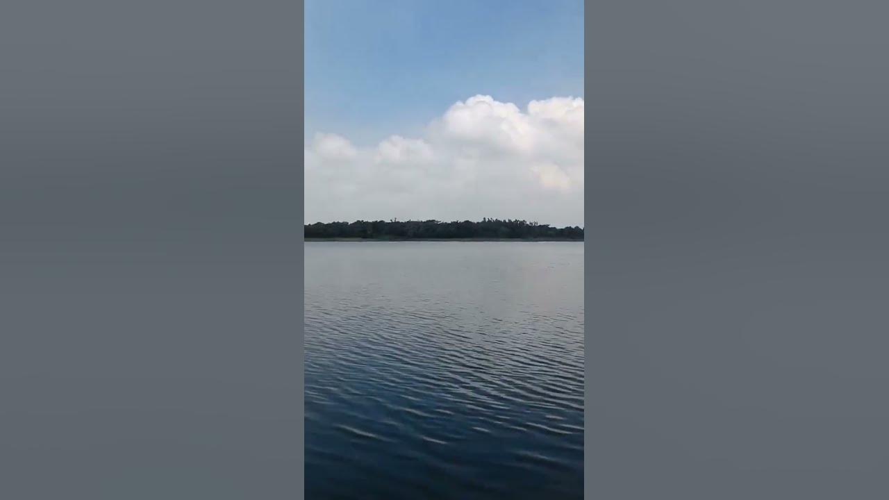 Beautiful nature scenery ## peaceful scenery# shorts video# no ...