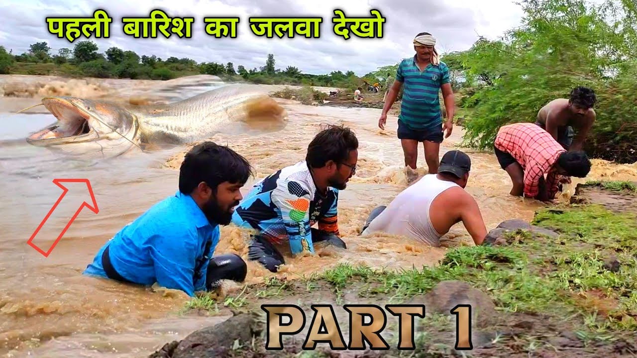 बारिश में चढ़ने वाली मछलियों को हाथों से पकड़ा है | Hand Fishing | # ...
