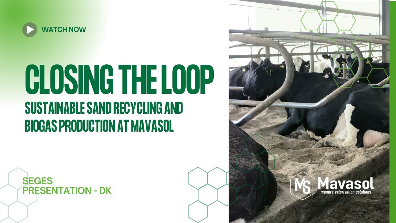 Closing the Loop: Sustainable Sand Recycling and Biogas Production at ...