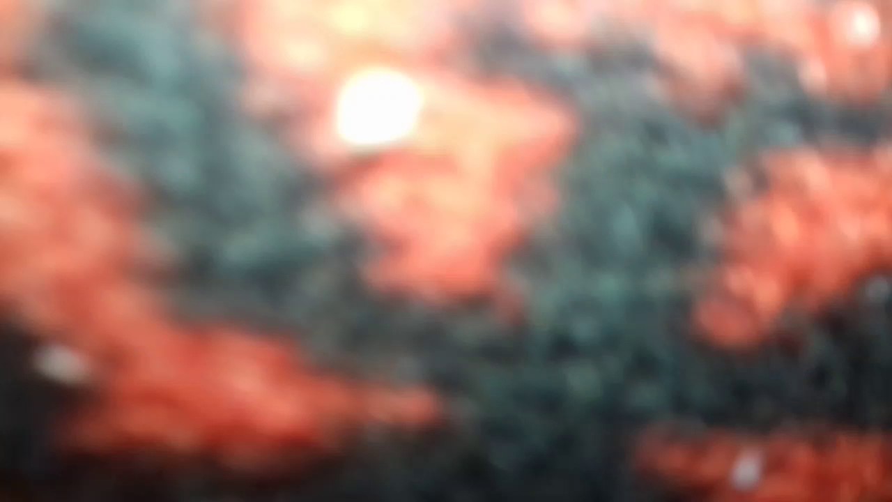 AzsXDCFVG - YouTube