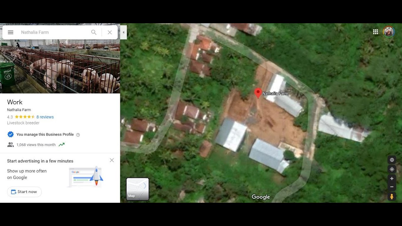 Teknologi Yang Membantumu Melihat Kandang Babi Organik Nathalia Farm ...
