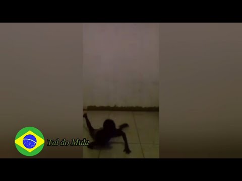 Bati a cabeça - meme (Tal do Mula)