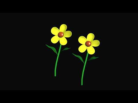 İKİLİ PAPATYA ANİME