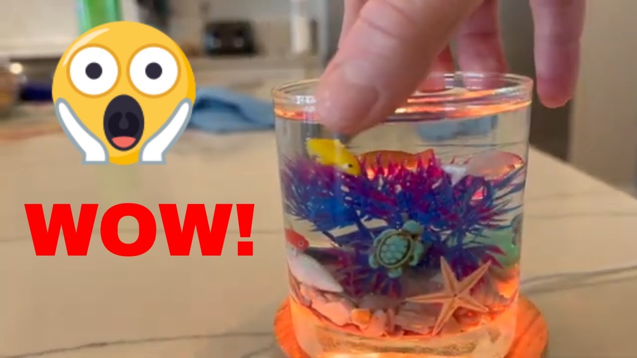 # 266 Diy Tutorial: How To Make A Gorgeous Resin Fish Tank Aquarium At ...