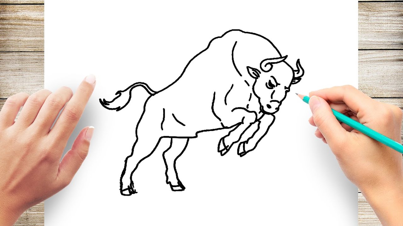 How to Draw Angry Bull - YouTube