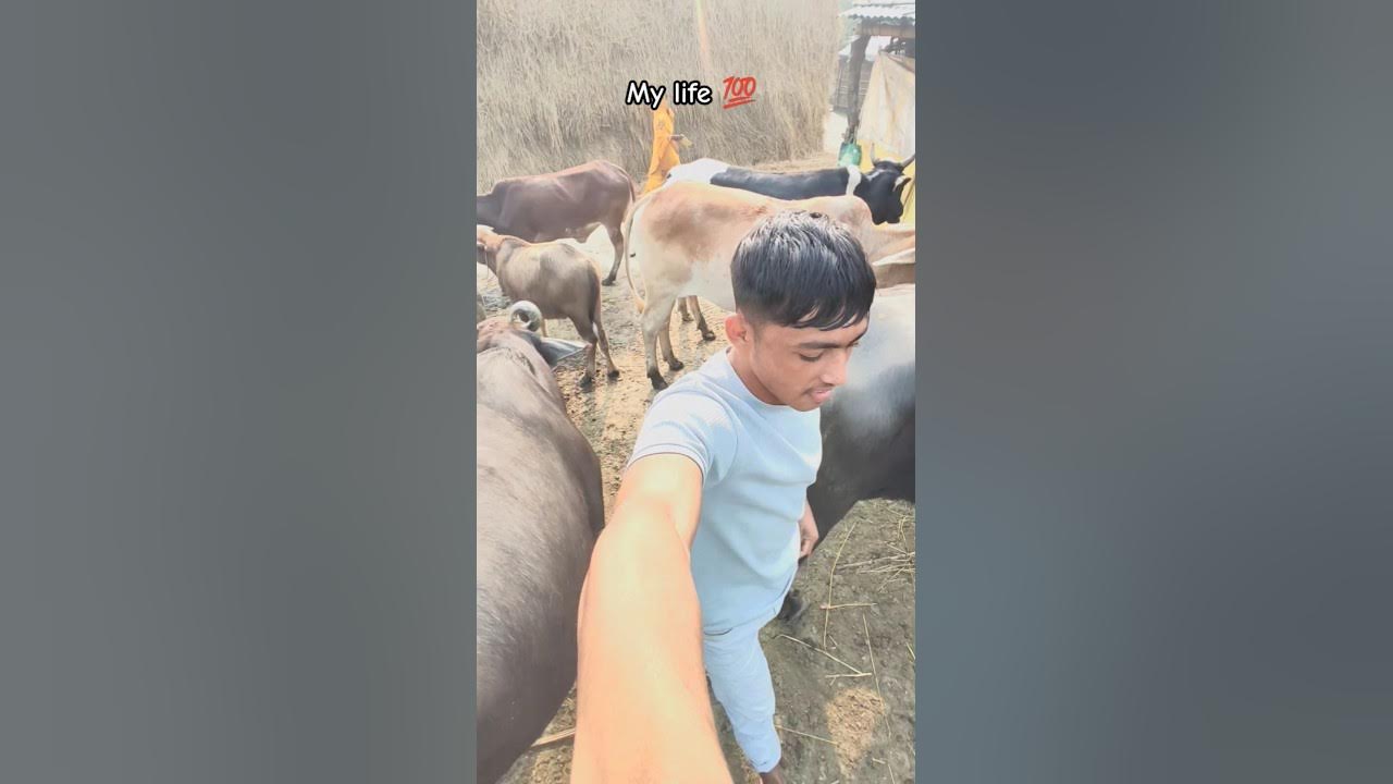 Yadav Barabd ☝🐯 #ytshorts #youtubeshorts #deshiworkout #deshivlogs #gymexercise - YouTube