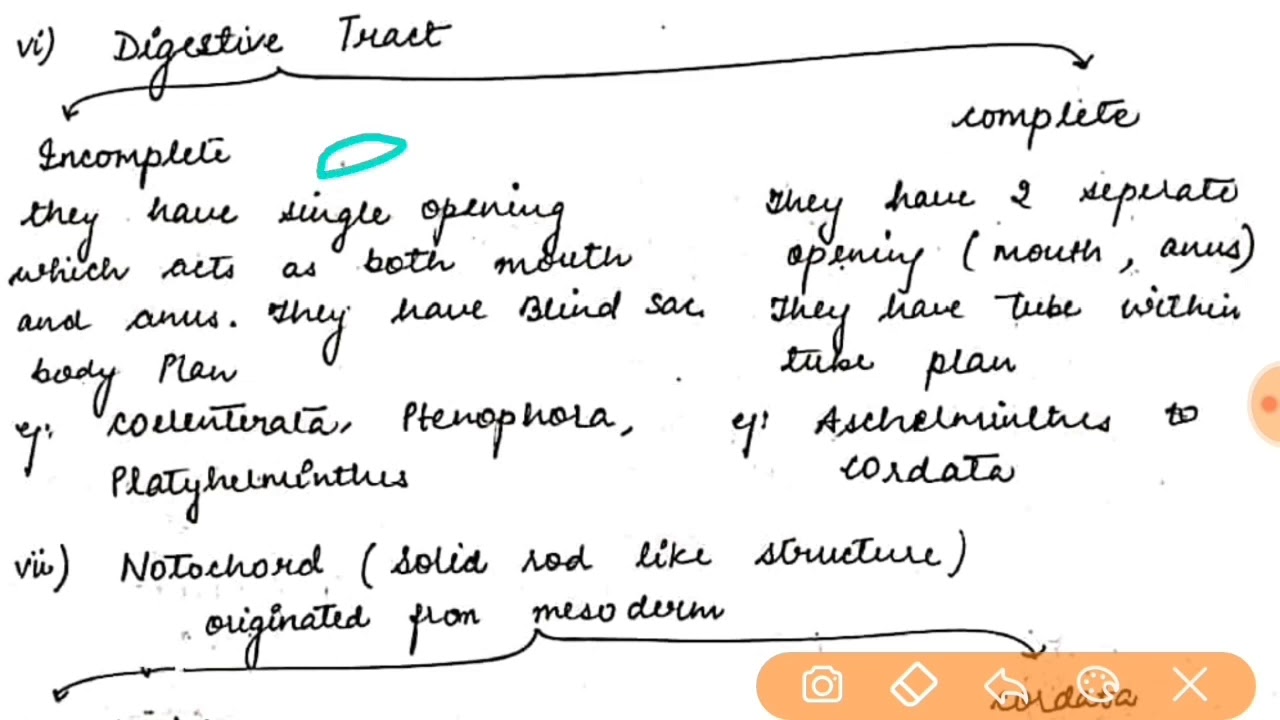 Incomplete and complete digestive tract trick|Animal kingdom|Class 11 ...