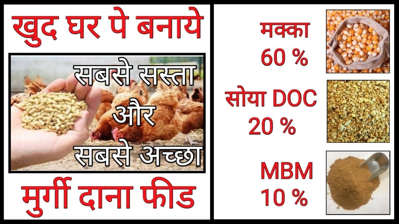 135, How to make Poultry Feed | Poultry Feed Formulation | Feed Milling ...