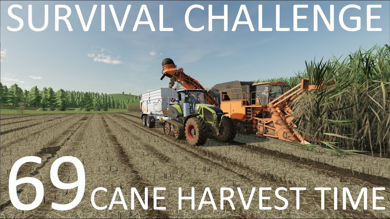 SUGAR CANE HARVEST TIME! - Survival Challenge - Farming Simulator 22 ...