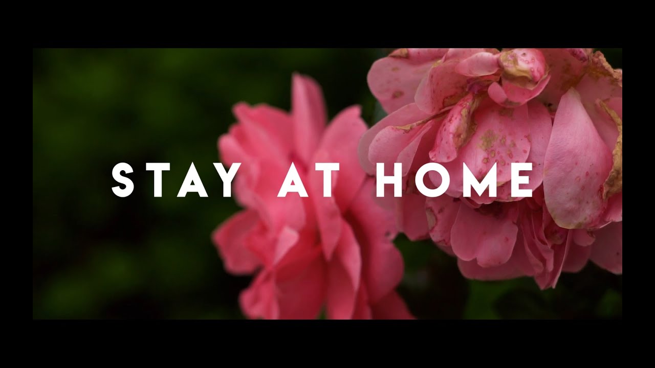 STAY AT HOME | CINEMATIC FILM SONY A6300 WITH 50 MM 1.8 | LAWIZ ...