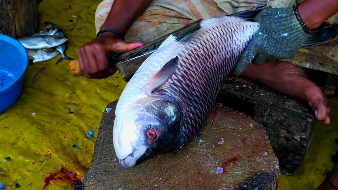 Amazing Cutting Skills | Big Rohu Fish Cutting By Expert Fish Cutter ...