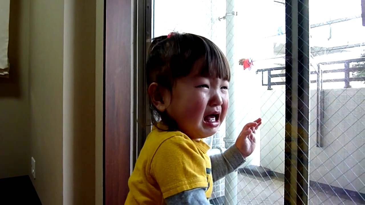 ももポニョがいなくて泣いちゃう - YouTube