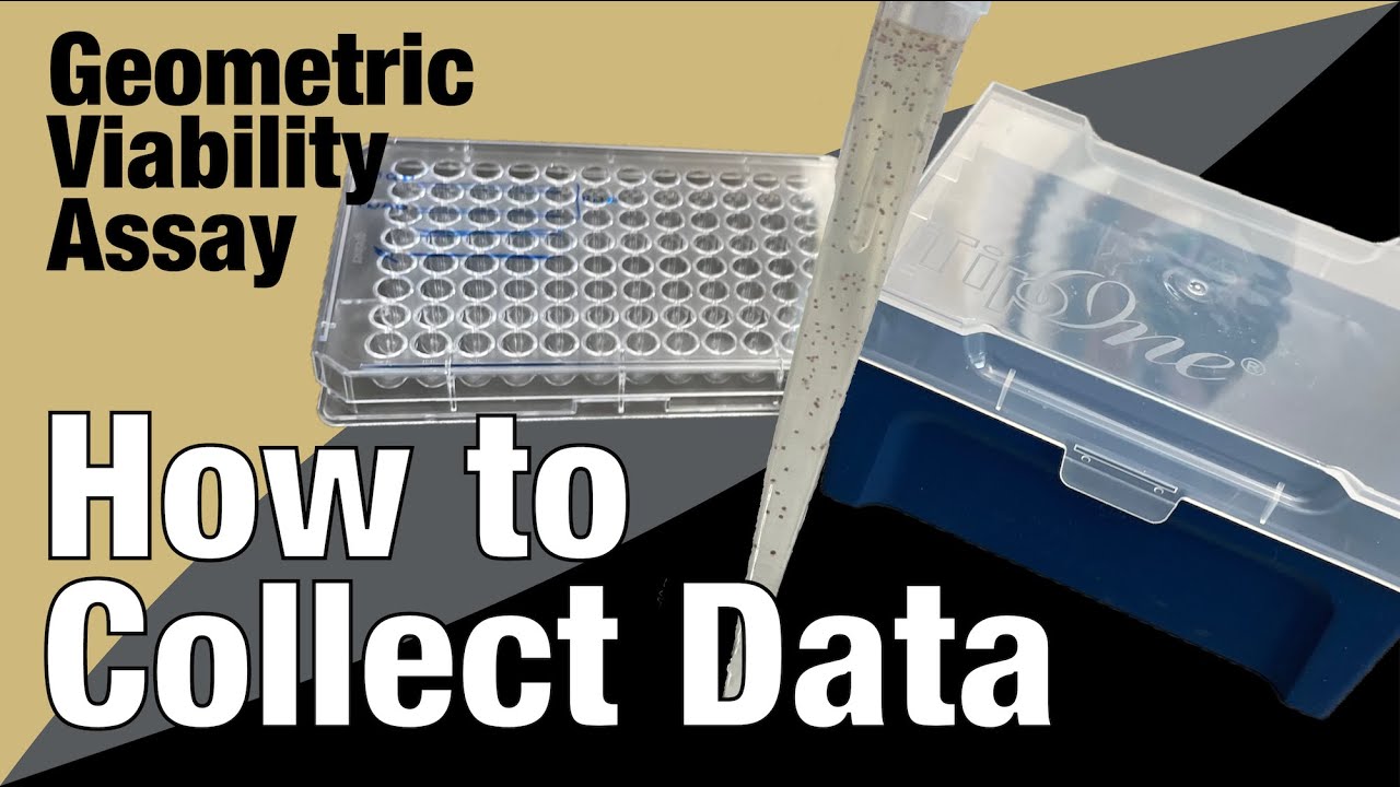 GVA | How to collect data - YouTube