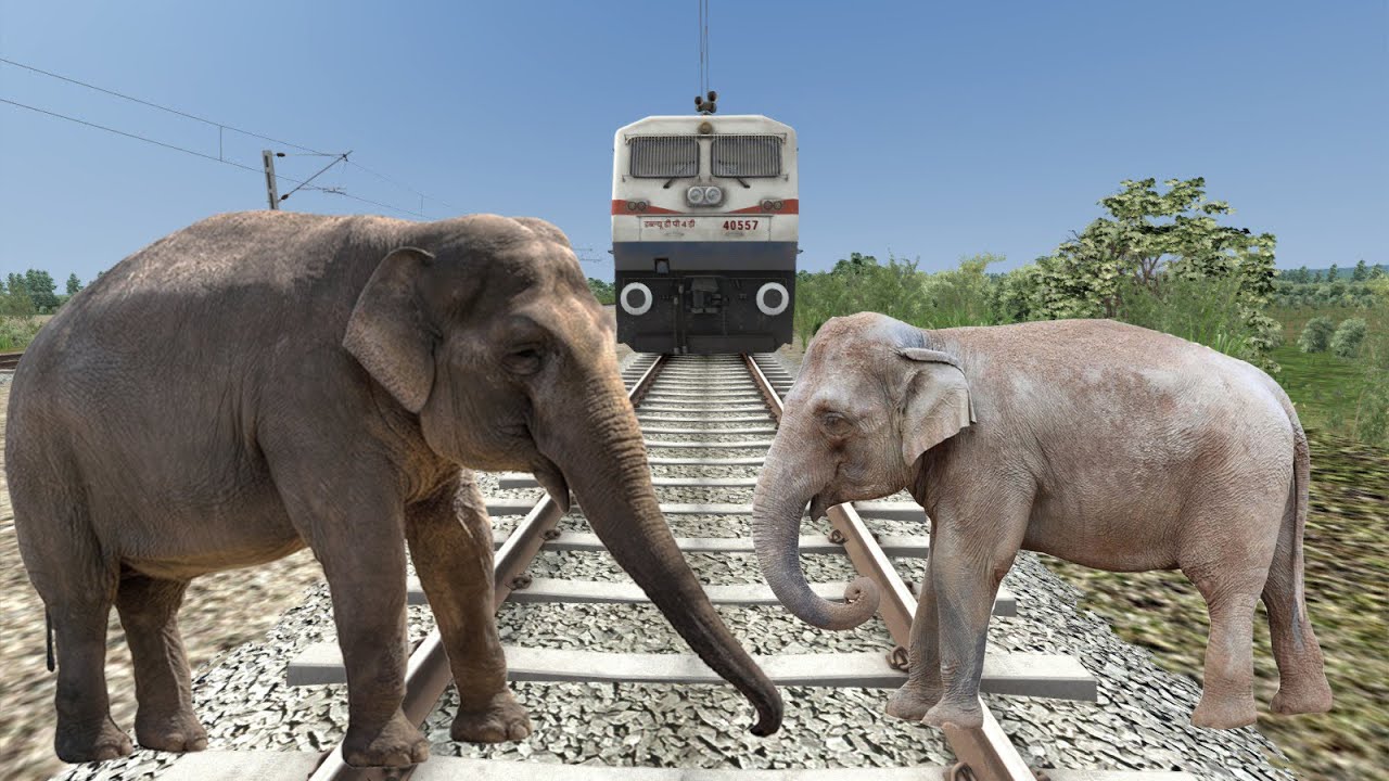 Elephant Stop The High - Speed Train and escapes in Train - TRAIN vs ...