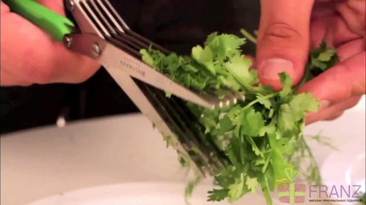 НОЖНИЦЫ КУХОННЫЕ ДЛЯ ЗЕЛЕНИ 5 ЛЕЗВИЙ - YouTube