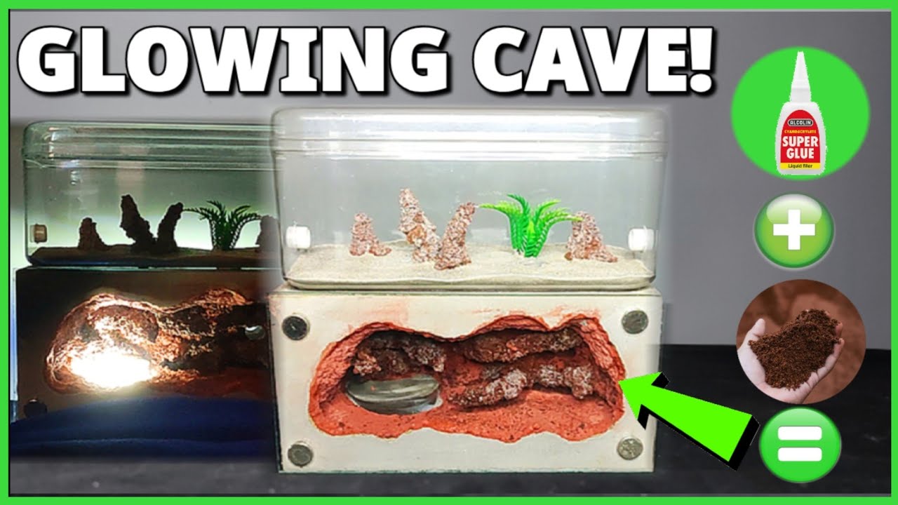 I MADE A GLOWING ANT FARM!| D colony - YouTube
