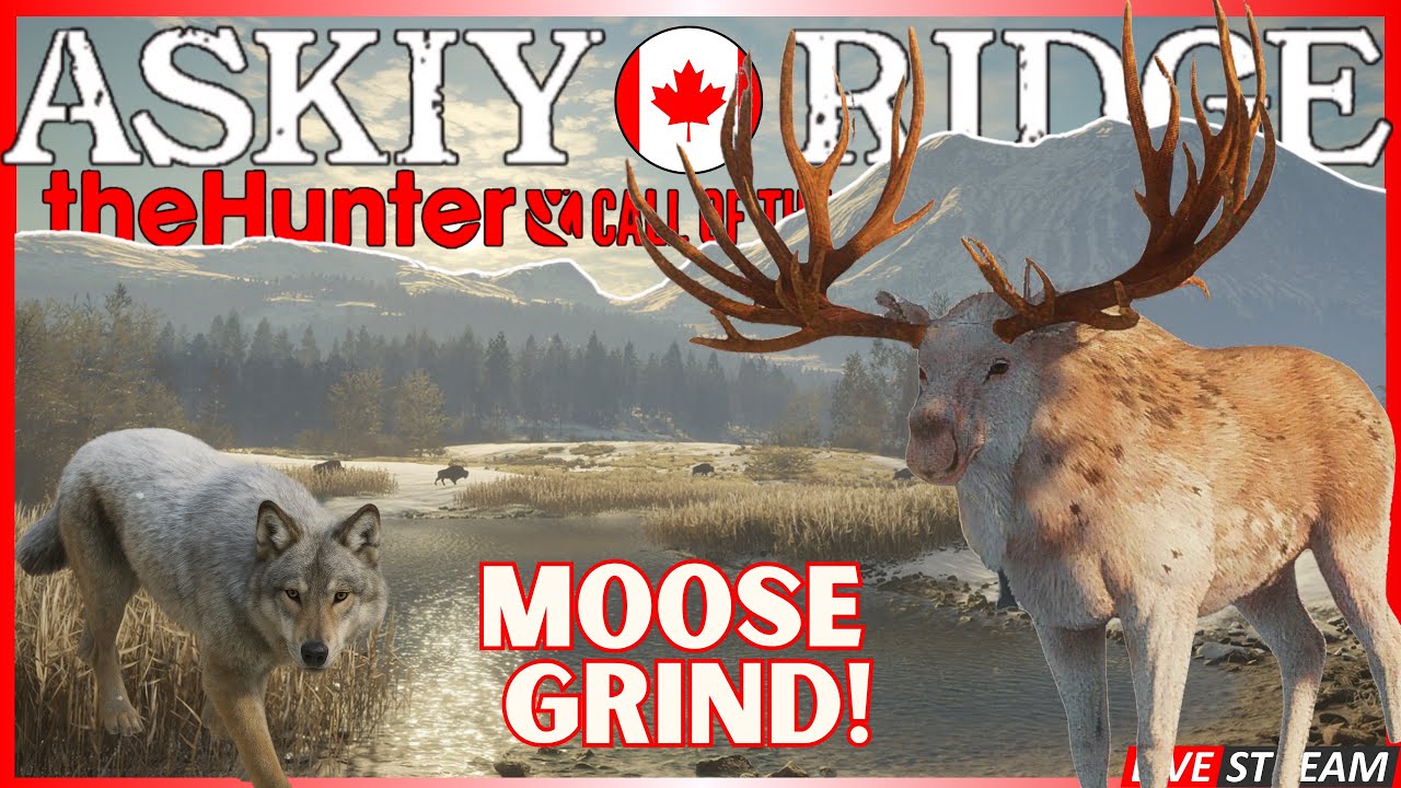 I GOTTA Get This MOOSE Before The NEW MAP DROPS!!! The Hunter: Call of ...