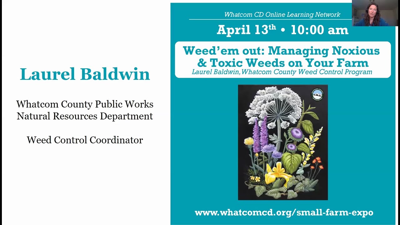 Weed'em out: managing noxious and toxic weeds on your farm - YouTube