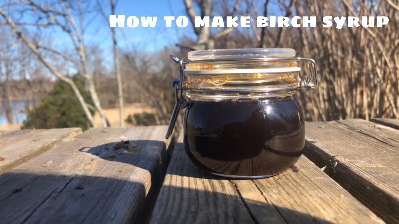 How To Make Birch Syrup? : How to Make Birch Syrup – BEPIS