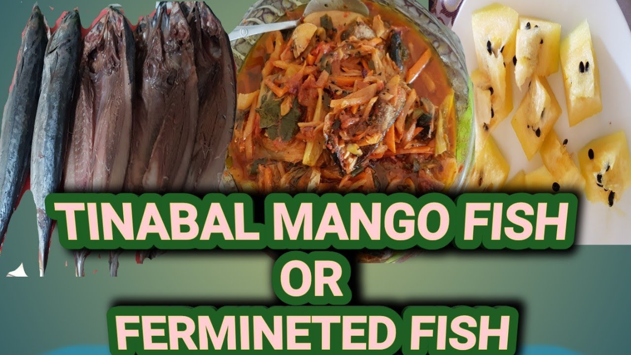 TINABAL MANGKO FISH OR FERMINETED FISH - YouTube