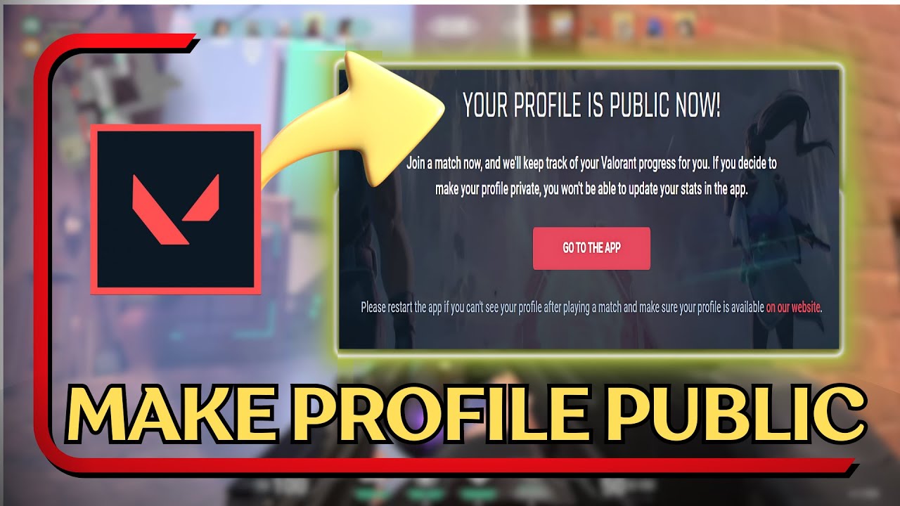 How to Make Profile Public on Valorant Tracker - YouTube