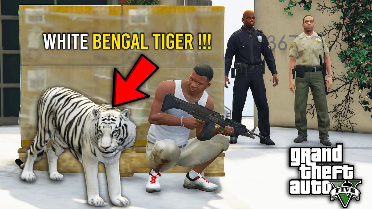 Franklin Tries To Catch WHITE BENGAL TIGER in GTA 5 | GTA 5 Mods - YouTube