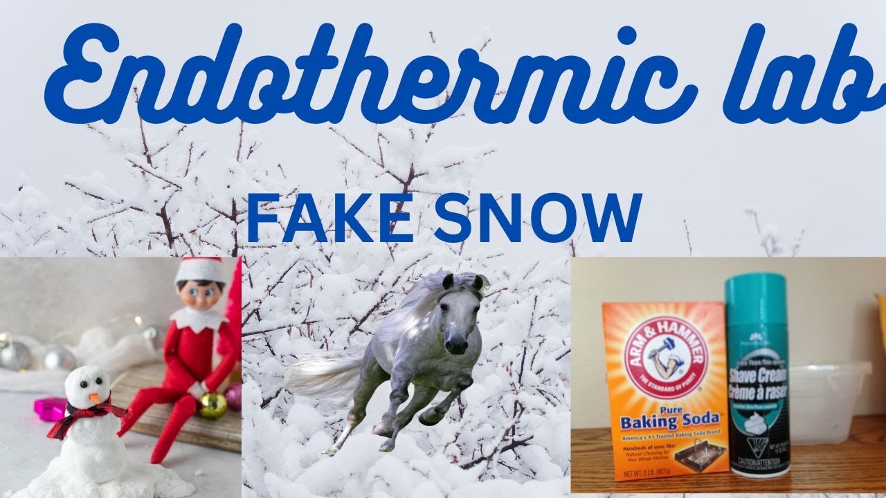 Endothermic Lab Making FAKE SNOW using materials you already have at ...