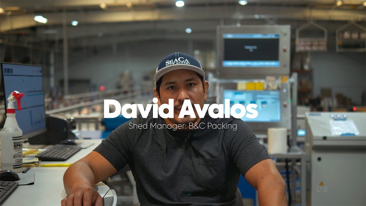 The Ugly Company - Heart of The Valley - David Avalos - YouTube