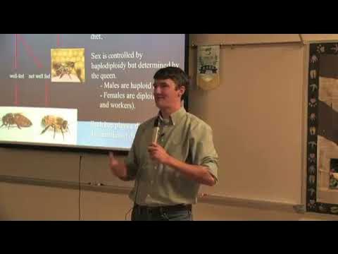 Dr Jamie ellis Bee meeting presentation - YouTube