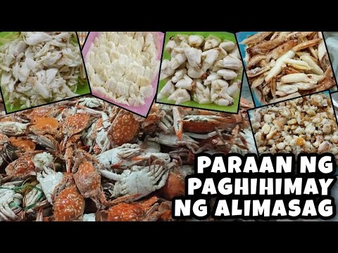 PARAAN NG PAGHIHIMAY NG ALIMASAG - YouTube