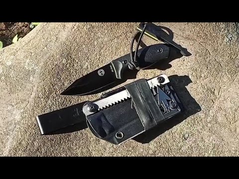 Holtzman's Baby Silverback with blooper at the end - YouTube