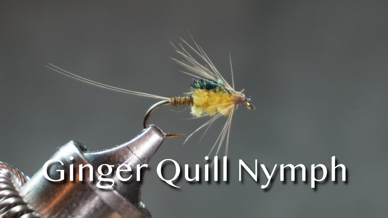 Ginger Quill Nymph - YouTube