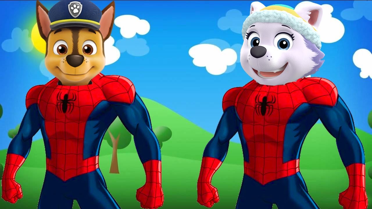 Paw patrol Spiderman Finger Family Songs / Daddy Finger Family Nursery ...