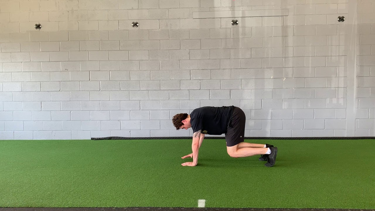 Bear Plank Shoulder Tap - YouTube