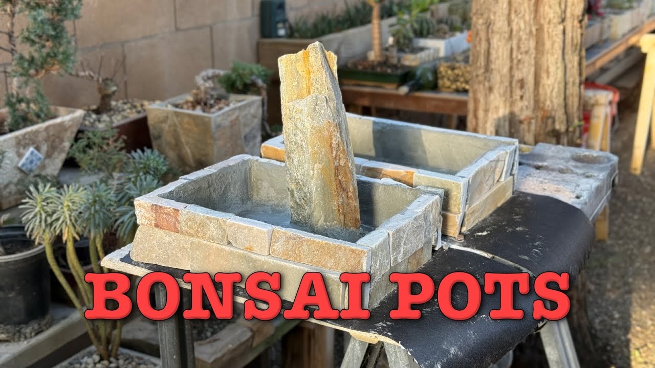 🪴 Crafting Unique Bonsai Pots – Handmade with Love 🌟 - YouTube