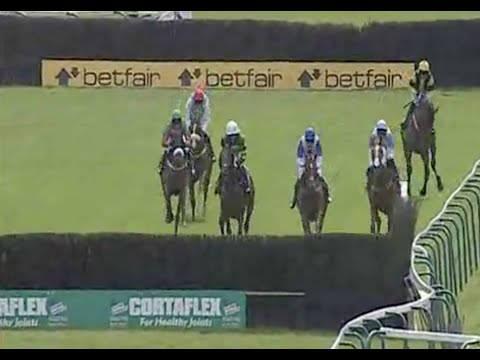 Horse Racing Death 253 - Katalak at Fontwell Racecourse