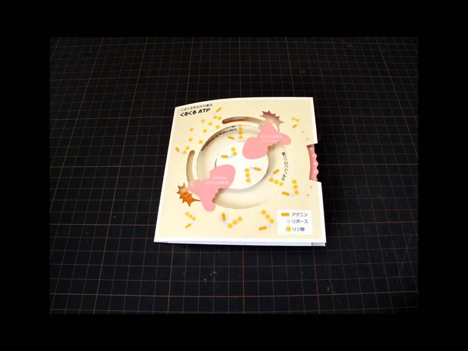 くるくるATP（Paper model of ATP / Adenosine Triphosphate） - YouTube