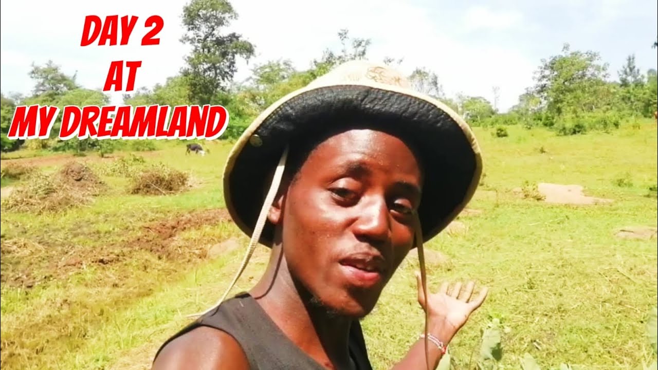 Day 2 at my dream land...revealing the new look of the farm 🌞 - YouTube