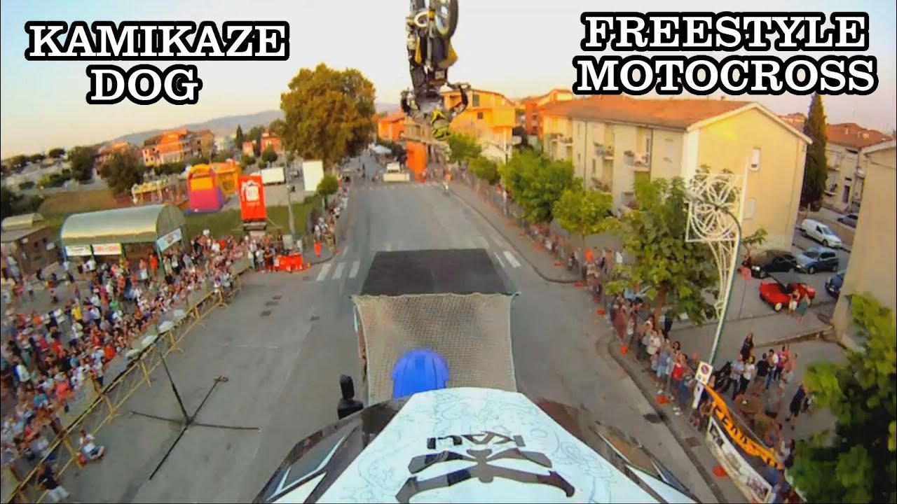 Kamikaze Freestyle Motocross Dog! ACDC - Shoot To Thrill - YouTube